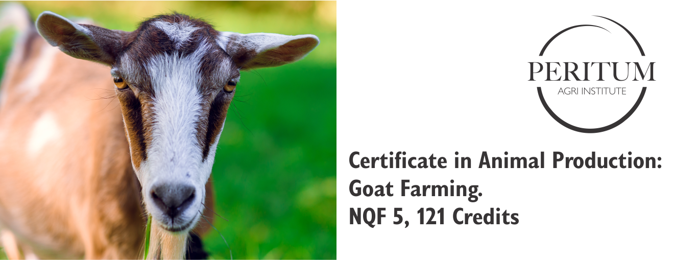 Peritum Agri Institute - Design a sustainable future for Agriculture